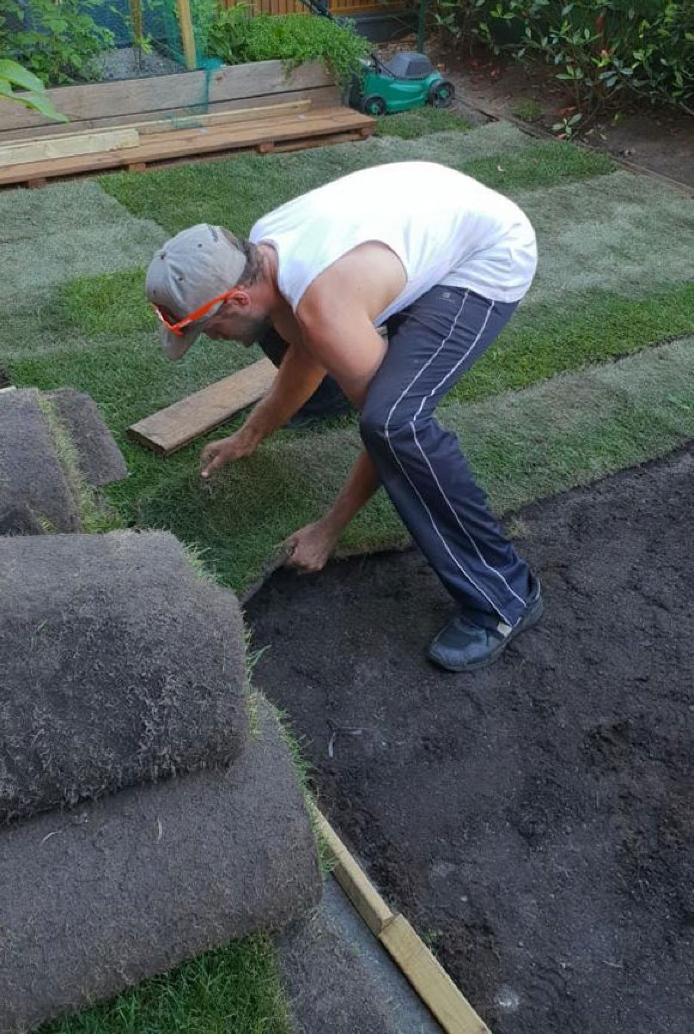 Quel est le prix d’une création de pelouse