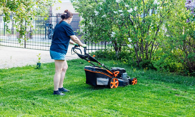 Les erreurs à éviter lors de la tonte de votre gazon ou pelouse